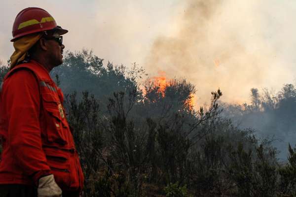 Que se refuerce Programa de Combate contra Incendios