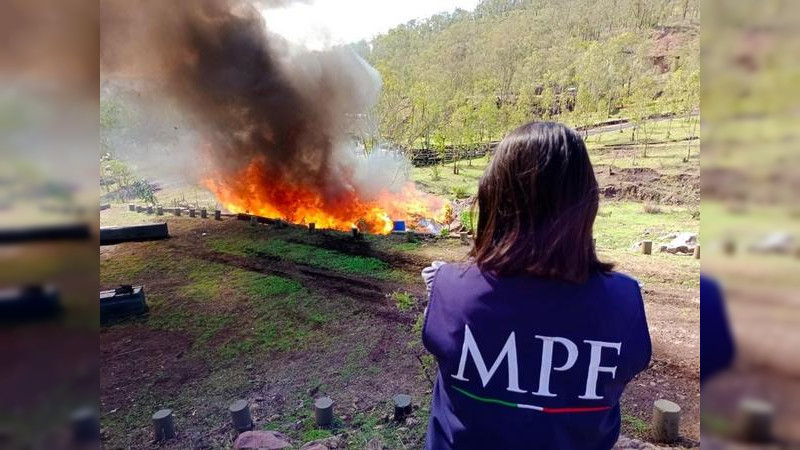 De Enero A Mayo Resultan 674 Sentencias Condenatorias Y 883 Personas