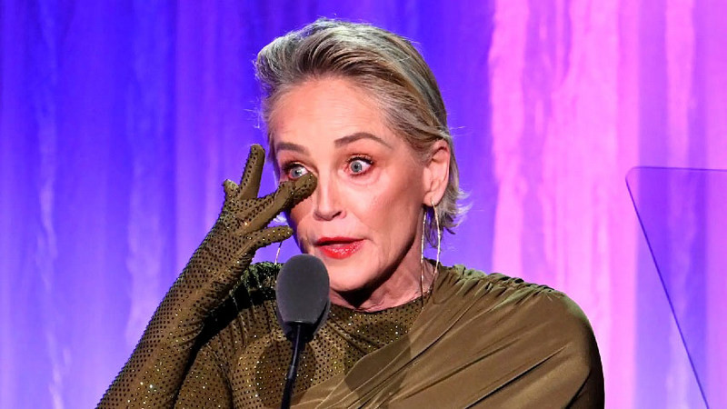 Sharon Stone confiesa que perdió la mitad de su fortuna tras colapso ...