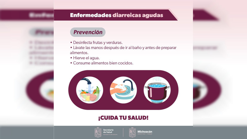 Llama Ssm A Extremar Cuidados Para Evitar Enfermedades Gastrointestinales