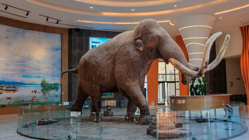 Buscan nombre para el mamut del Museo Paleontológico de Santa Lucía ...