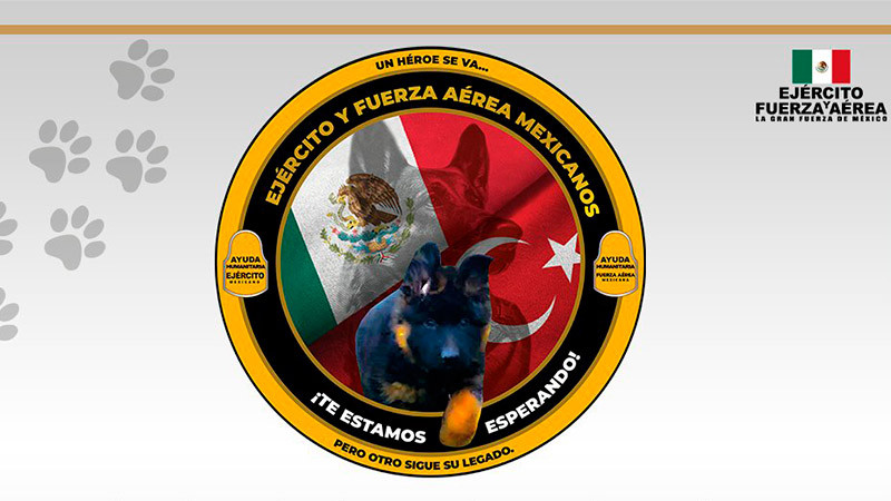 Cachorro turco se unirá a binomios caninos de Sedena en homenaje a Proteo