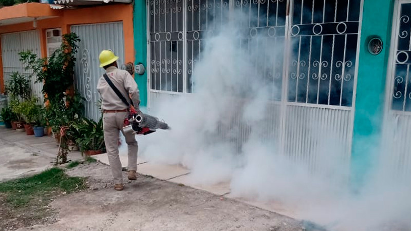 Ha realizado SSM más de medio millón de acciones contra el dengue en Michoacán