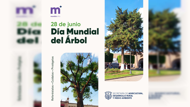 En el Día Mundial del Árbol, Morelia refrendan acciones en pro del ...