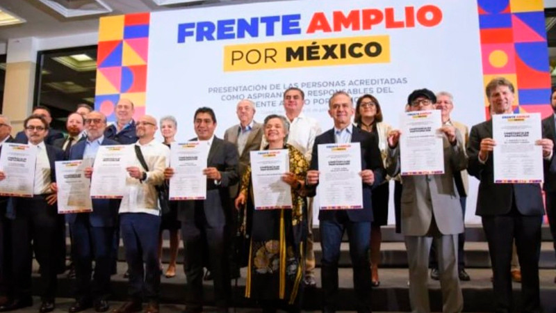 Aprueba Tepjf Proceso Del Frente Amplio Ordena Al Ine Imponer