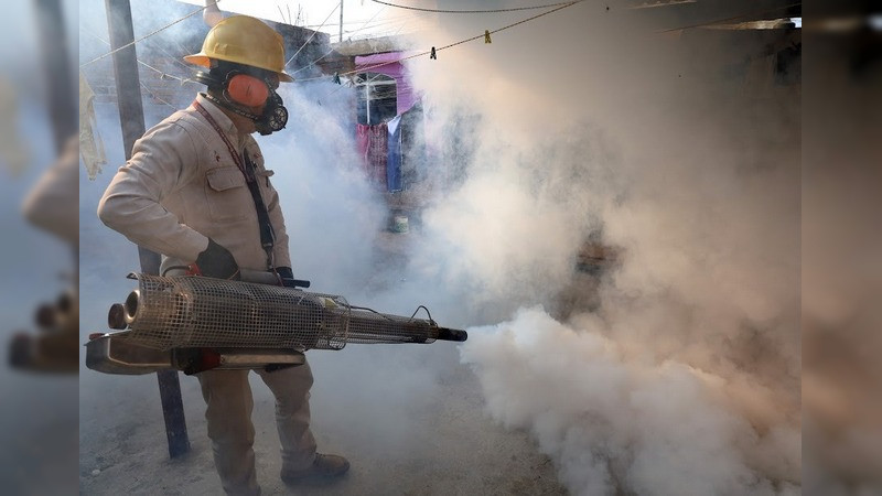 Titular de la SS de Oaxaca reconoce que se usó insecticida caduco ...