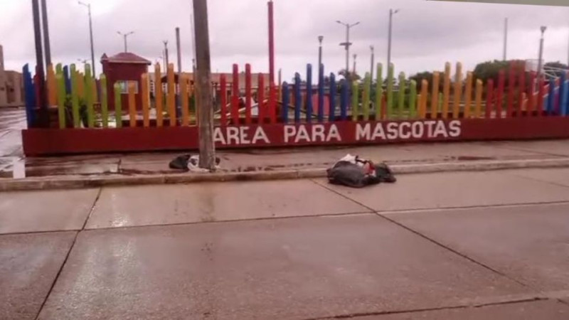 Previo al Grito de Independencia en Coatzacoalcos hallan bolsas con ... Previo al Grito de Independencia en Coatzacoalcos hallan bolsas con ...
