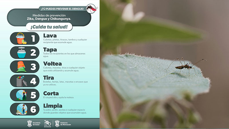 Sector salud comparte consejos para prevenir el dengue desde casa
