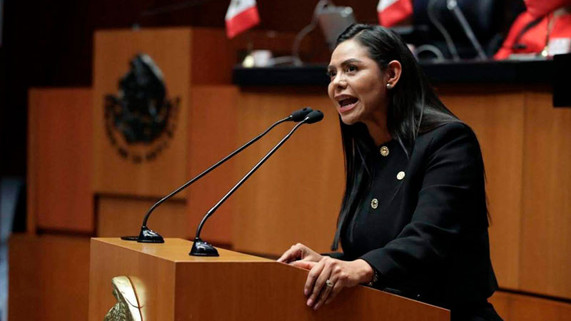 Araceli Saucedo Reyes formalizó queja por violencia política en razón ...