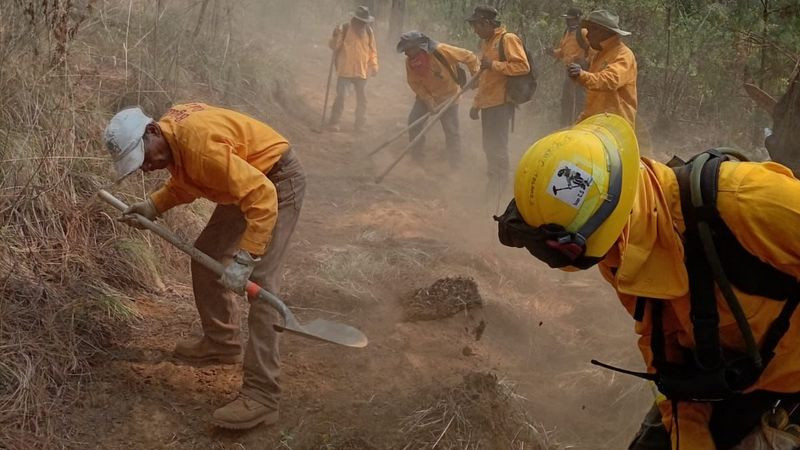 Continúan labores coordinadas para la atención del incendio forestal en ...