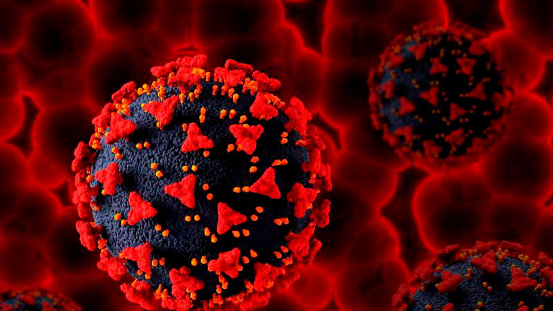 Activa la Secretaría de Salud una alerta epidemiológica, tras el brote ...