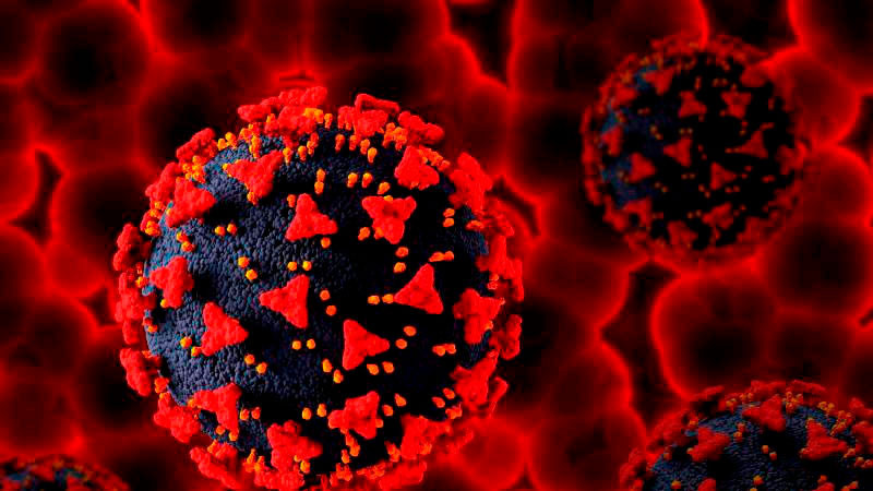 México activa protocolo preventivo ante posible ingreso de casos de ébola