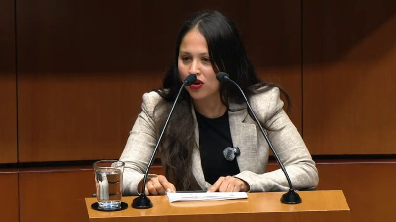 Diputada de Morena genera polémica por comentario contra legisladores ...