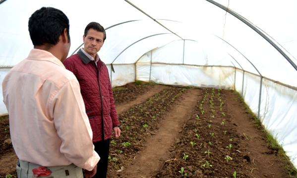 Propone EPN programa de proyectos productivos en zonas rurales