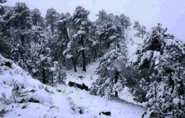 Se viste de blanco el cerro de Tancítaro
